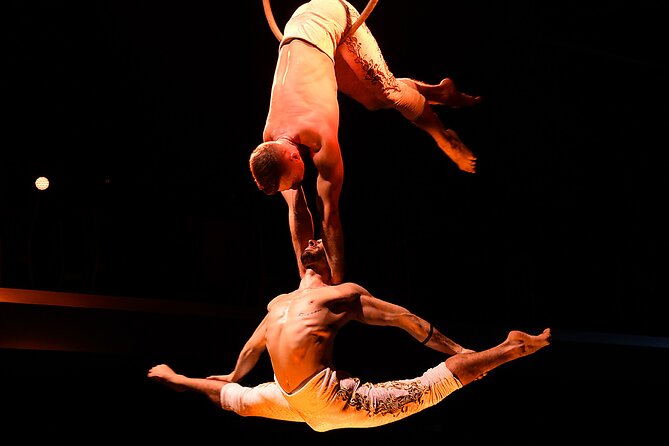 Troy Dinner-Show: An Honest Review - Venue Ambiance and Staff Professionalism