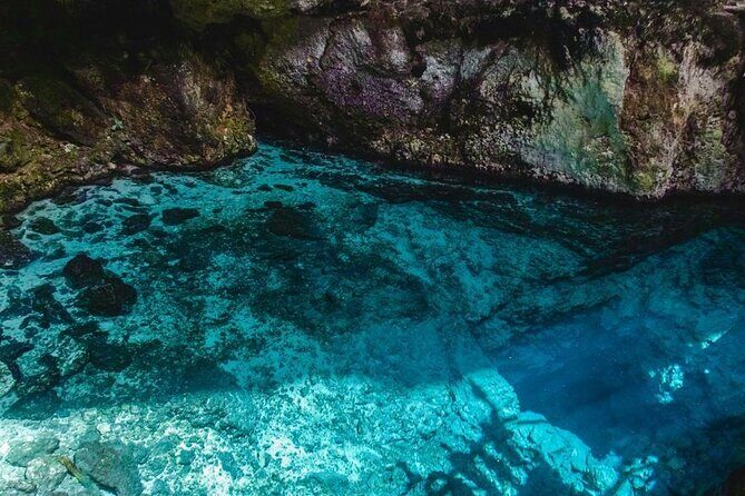 TRS Turquesa- Round Trip Shuttle - Punta Cana Airport - Final Thoughts