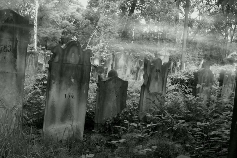 True Crime Philadelphia and History Tour - Practical Details