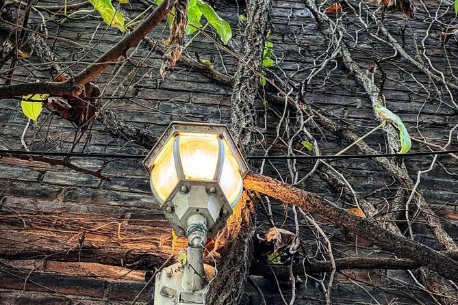 True Crime Walking Tour in Soulard Neighborhood - Key Points