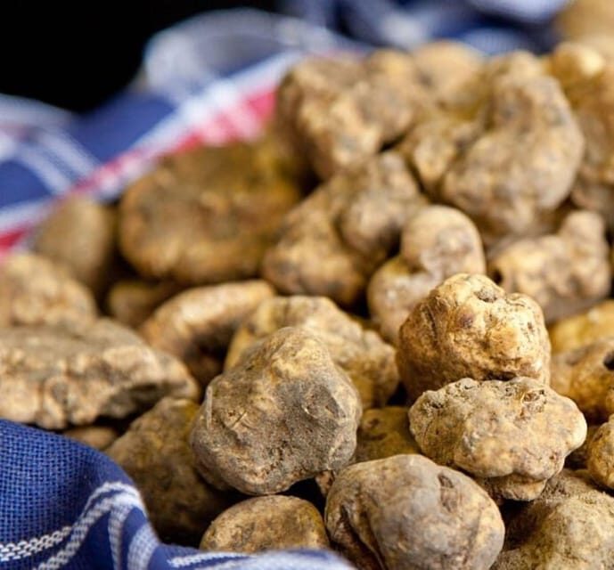 Truffle experience from Naples and Salerno - Key Points