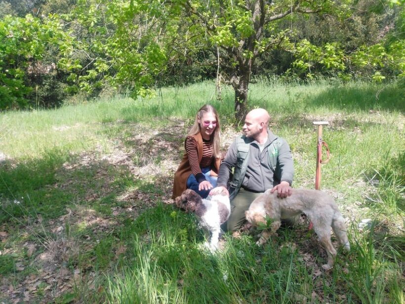 Truffle Experience - Key Points