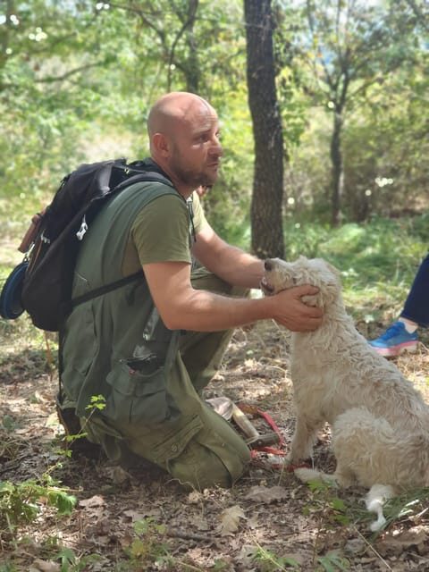 Truffle Experience - Final Thoughts