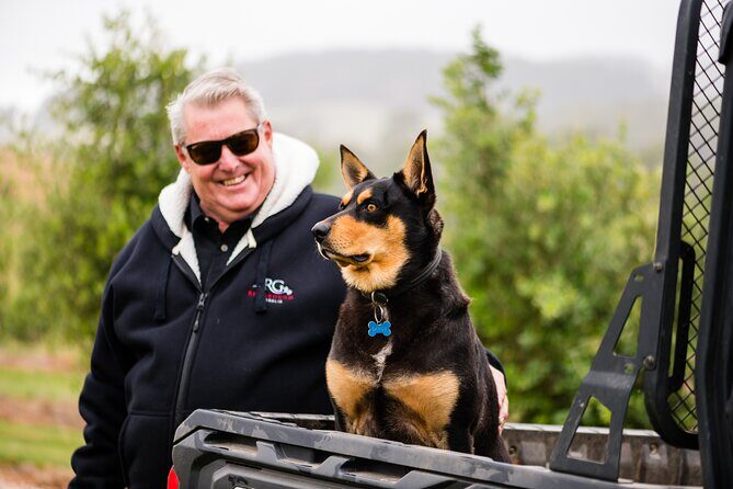 Truffle Hunt and Taste Experience in Oberon, NSW Australia - Who Should Book This?