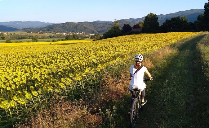 Truffle hunt in Chianti with cooking class and sunset dinner - Frequently Asked Questions