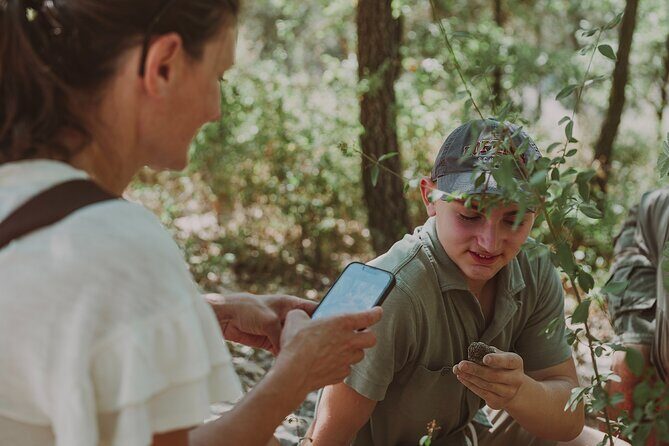 Truffle Hunt in Tuscany - Experience a Truffle Hunt in Tuscany: An Authentic Taste of Italy’s Hidden Treasure
