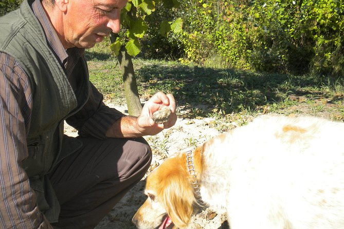 Truffle Hunt & Wine Tasting - Discovering the Secrets of the Truffle