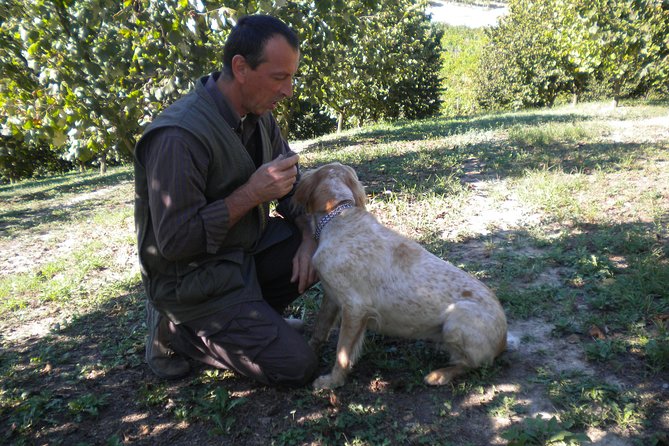 Truffle Hunt & Wine Tasting - Uncovering the Essence of Langhe-Roero and Monferrato