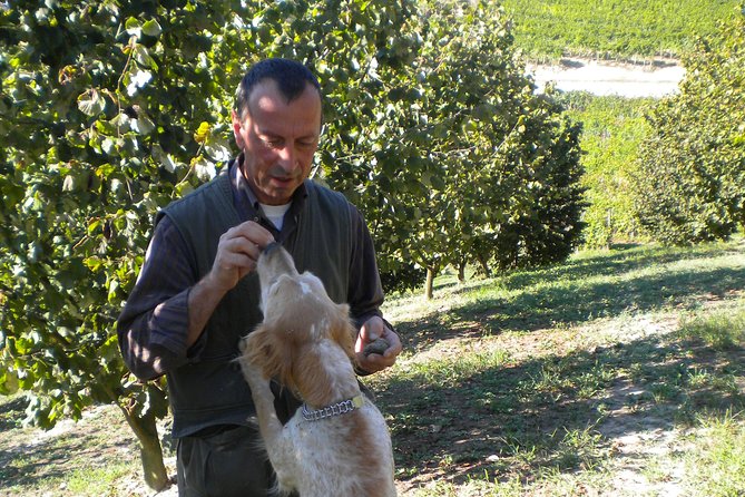 Truffle Hunt & Wine Tasting - Savoring the Treasures of the Cellar