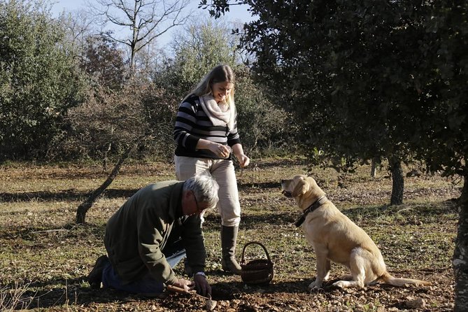 Truffle Hunt & Wine Tasting - The Truffle Hunters Expertise