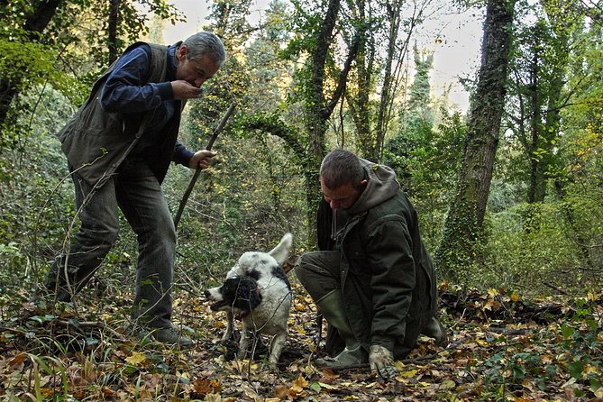 Truffle Hunt & Wine Tasting - A Personalized and Unforgettable Experience