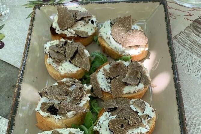 Truffle Hunting Adventure - Participant Experience and Reviews