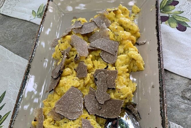 Truffle Hunting Adventure - Exploring the Motovun Hills