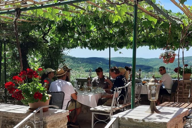 Truffle Hunting Adventure - Truffle Hunting With Trained Hounds