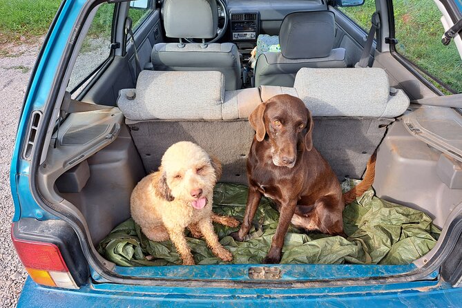 Truffle Hunting Adventure - Connecting With Local Truffle Hunters
