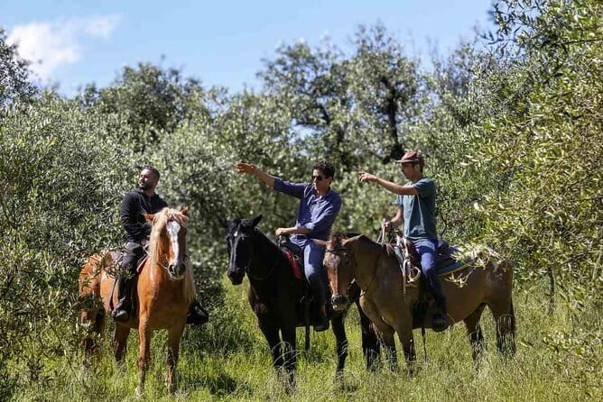 Truffle Hunting and Tasting in San Gimignano with a Tuscan Lunch - Authenticity and Quality of the Experience