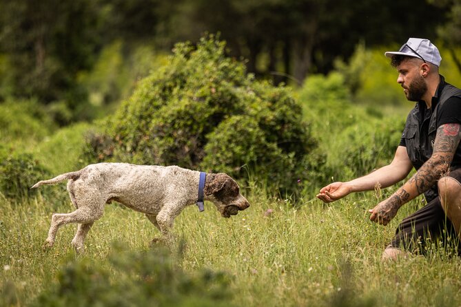 Truffle Hunting at Meteora - Preparing for Your Adventure
