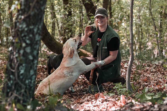 Truffle Hunting & Cooking Tour - Guided Truffle Hunting With Trained Dogs
