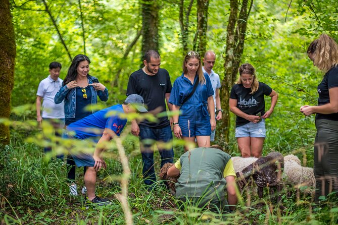 Truffle Hunting & Cooking Tour - What to Expect on the Tour