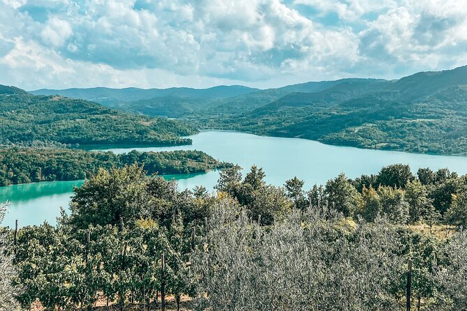 Truffle Hunting & Cooking Tour - Traveler Feedback and Recommendations