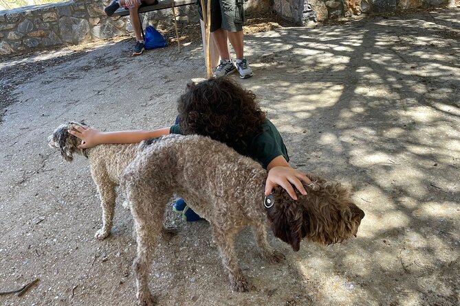 Truffle Hunting, Culinary & Wine Celebration from Heraklion - Final Thoughts: Who Is This Tour Best For?