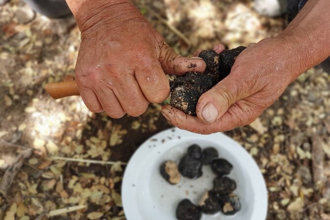 Truffle Hunting, Culinary & Wine Celebration from Heraklion - FAQ: Practical Questions About the Tour