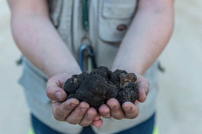 Truffle hunting - Key Points
