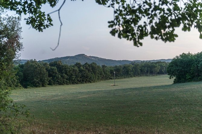 Truffle hunting - FAQ