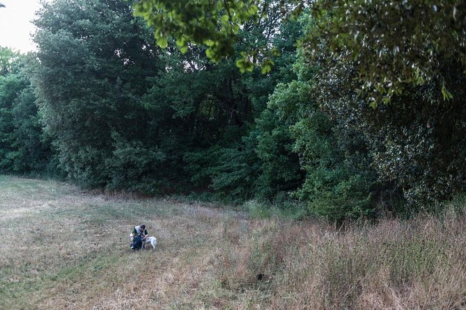 Truffle hunting - Final Thoughts