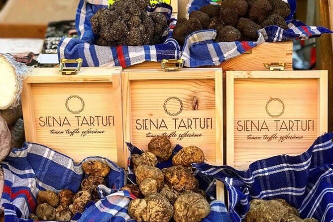 Truffle Hunting Experience Siena Tartufi - Exploring the Tuscan Countryside