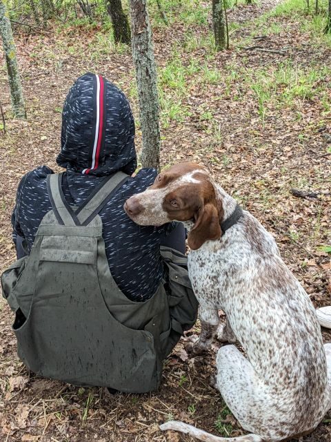 Truffle Hunting Experience with a Guide - Key Points