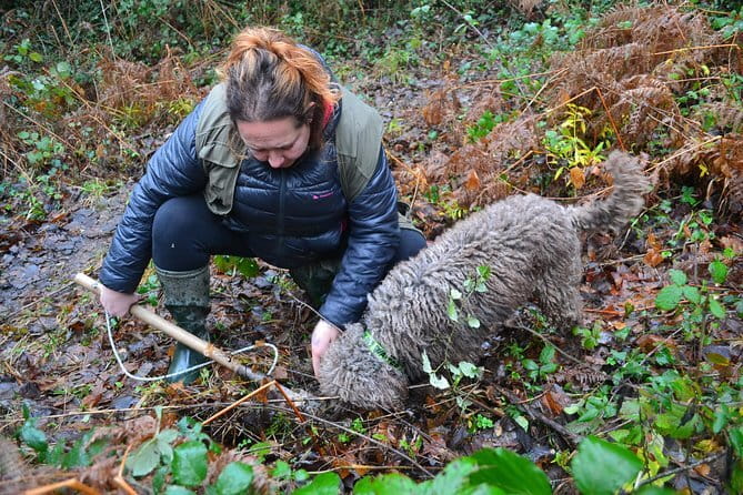 Truffle Hunting Experience with Lunch in San Miniato - Who Will Love This Experience?