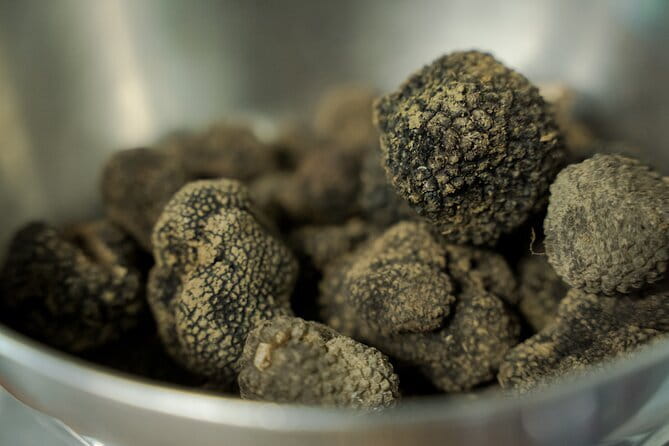 Truffle hunting + gourmet tasting (transfer included) - Authenticity and the Experience’s Heart