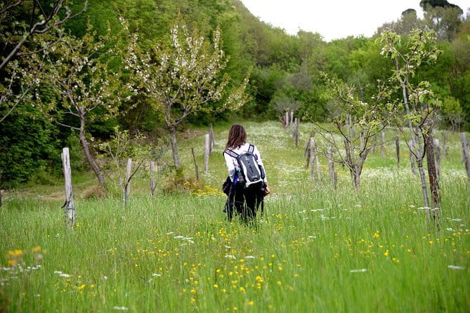 Truffle hunting + gourmet tasting (transfer included) - Who Should Consider This Tour?