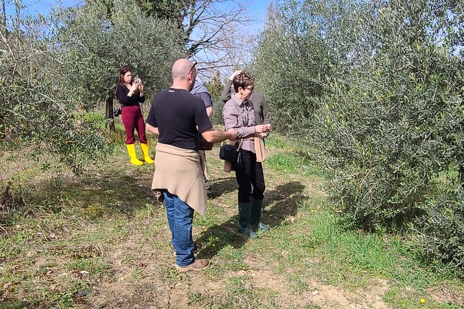 Truffle Hunting in Chianti, Pasta Class and Lunch - Frequently Asked Questions