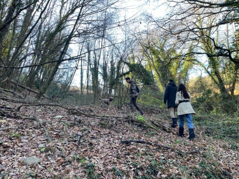 Truffle hunting in Chianti with pasta cooking class & lunch - Key Points