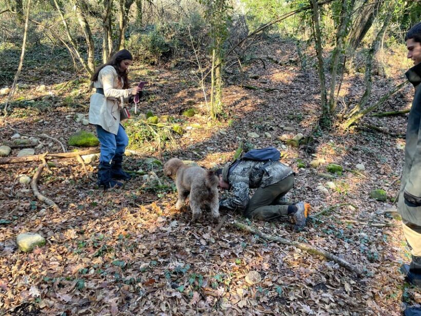 Truffle hunting in Chianti with pasta cooking class & lunch - An Authentic Taste of Tuscany: What to Expect