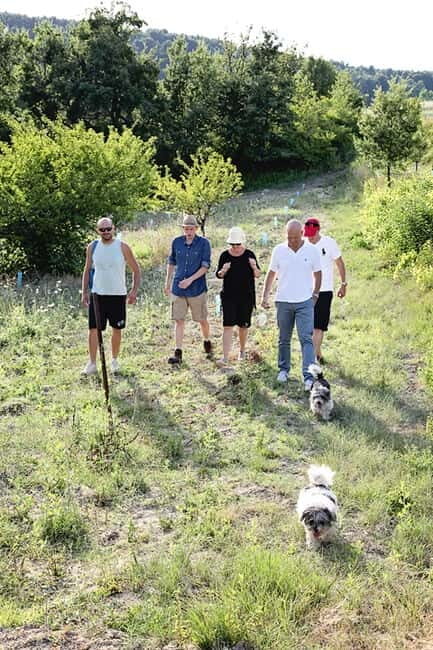 Truffle Hunting in Provence - An In-Depth Look at the Truffle Hunting Experience