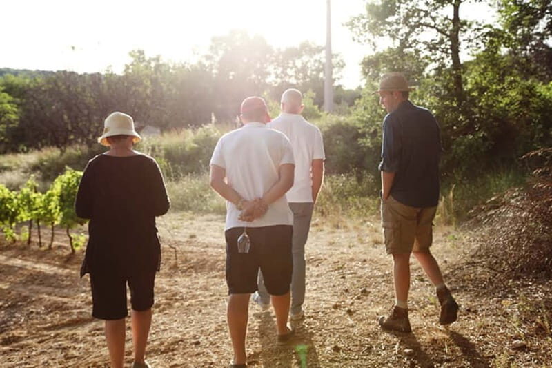 Truffle Hunting in Provence - Final Thoughts: Why It’s Worth Considering