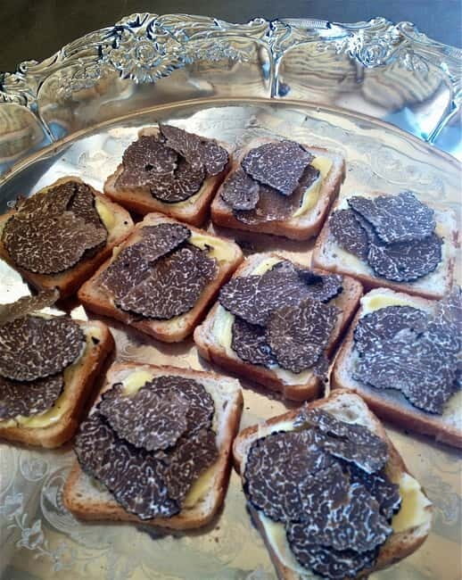 Truffle Hunting in Provence - FAQ