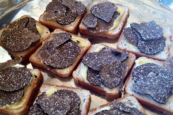 Truffle Hunting in Provence - Highlights of the Truffle Hunting Experience