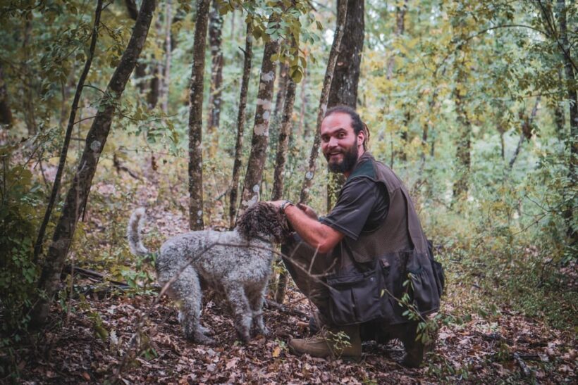 Truffle Hunting in San Gimignano - Price & Value Analysis
