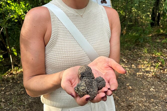 Truffle Hunting in San Gimignano - Reviews: What Visitors Are Saying