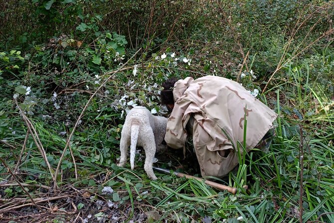 Truffle Hunting in San Miniato in Tuscany With Tasting - Key Points