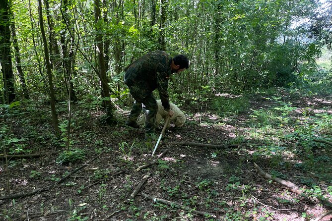 Truffle Hunting in San Miniato in Tuscany With Tasting - What to Expect
