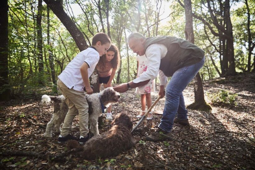 Truffle Hunting In The Hills Of Tuscany - Why This Tour Makes Sense for You
