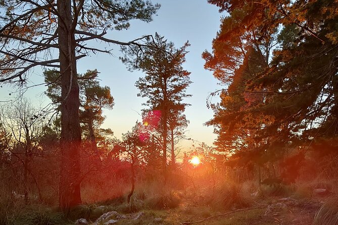 Truffle Hunting in the Sicani Mountains: a Unique Experience in Sicily - Discovering the Secrets of Truffle Hunting
