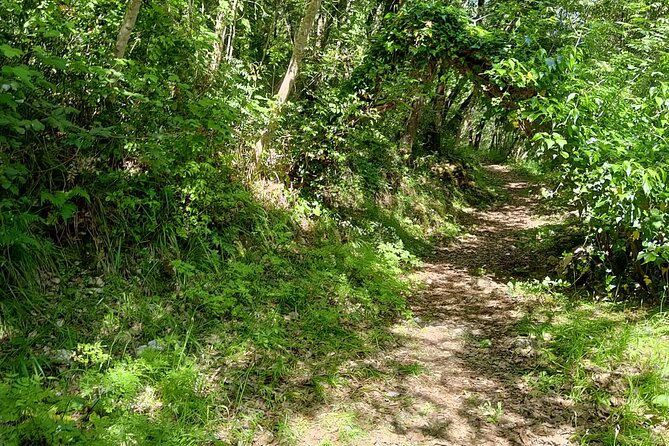 Truffle Hunting in the Sicani Mountains: a Unique Experience in Sicily - The Sights and Smells of the Sicani Mountains