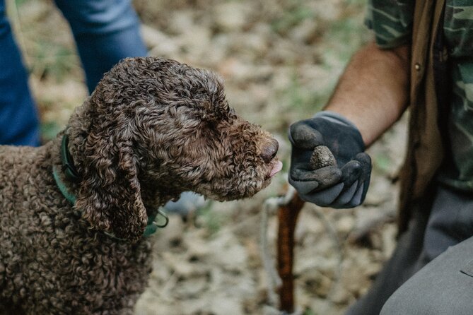 Truffle Hunting in Tuscany - About Your Stay