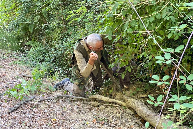 Truffle Hunting in Tuscany - Exploring the Picturesque Town of San Gimignano